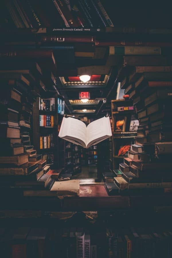 Étymologie : Définition & exemples | Que veut dire