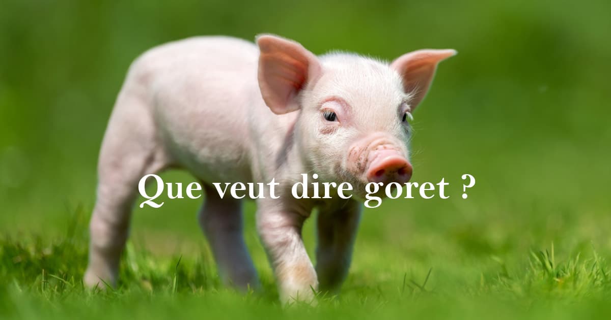 Goret : Définition, signification & étymologie | Que veut dire